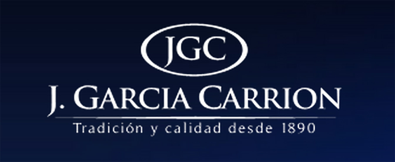 Enviar Curriculum J Garcia Carrión 【2026